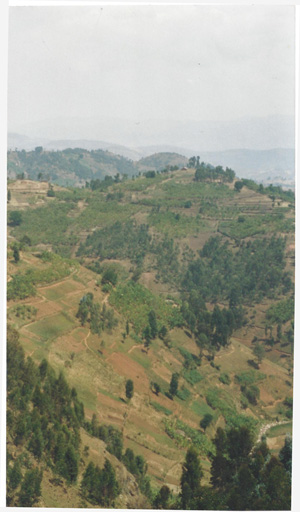 Pour illustrer 'Ce que murmurent les collines' - S. Mukasonga